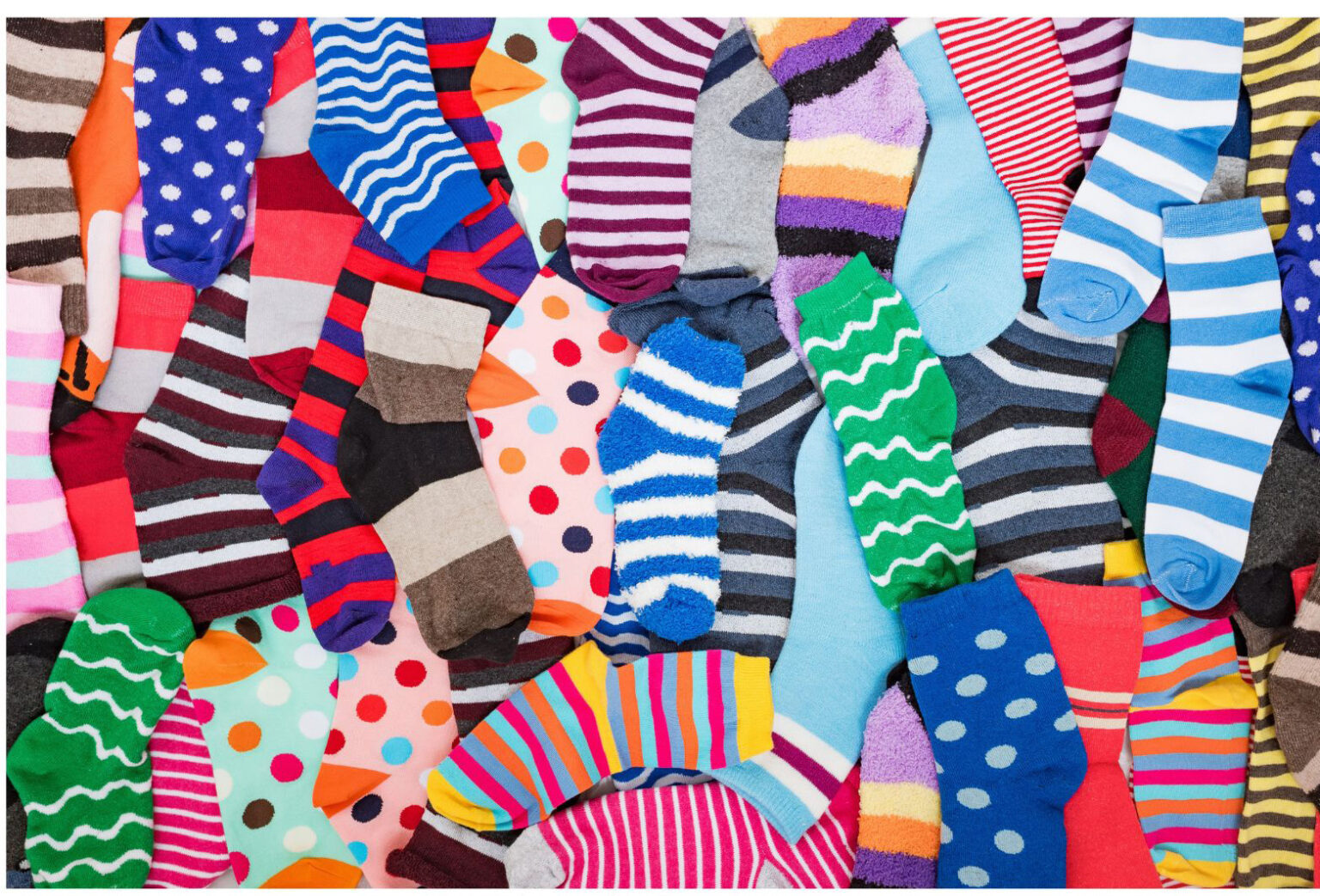 “Socks” – Gallery and Studio